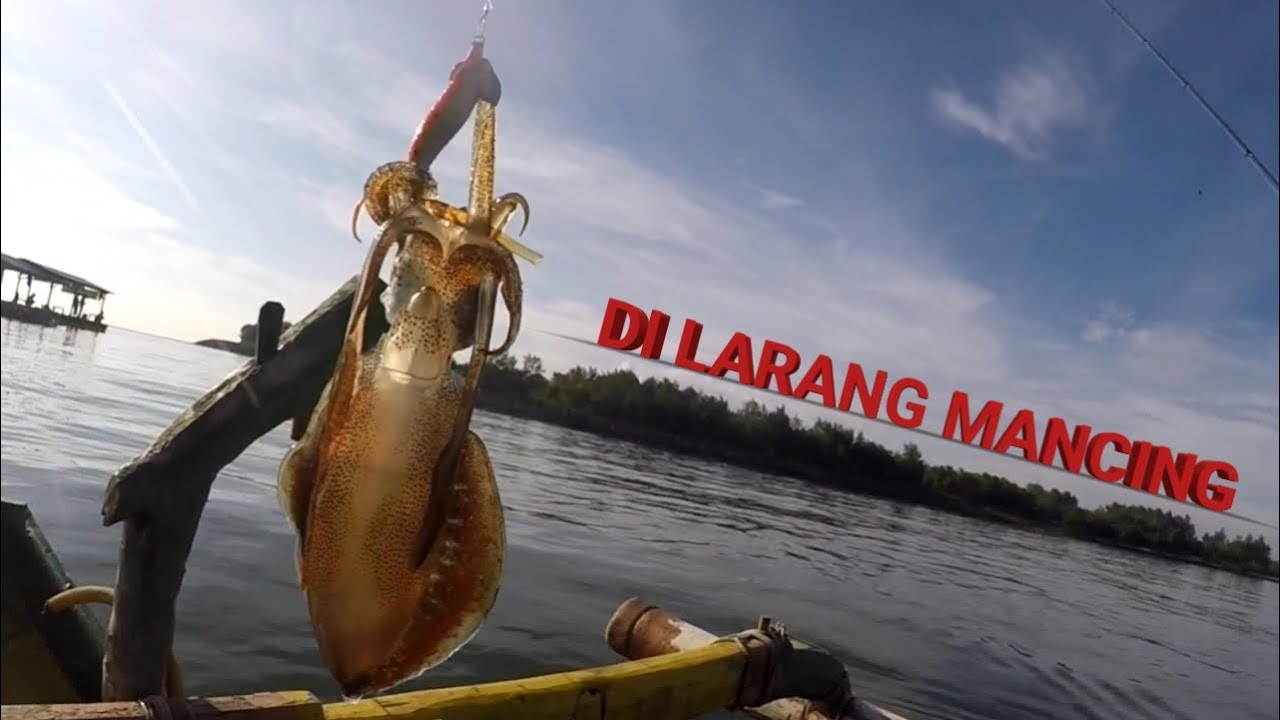 MANCING CUMI DI DEKAT PULAU TERLARANG - Mancing Mania Bali - YouTube