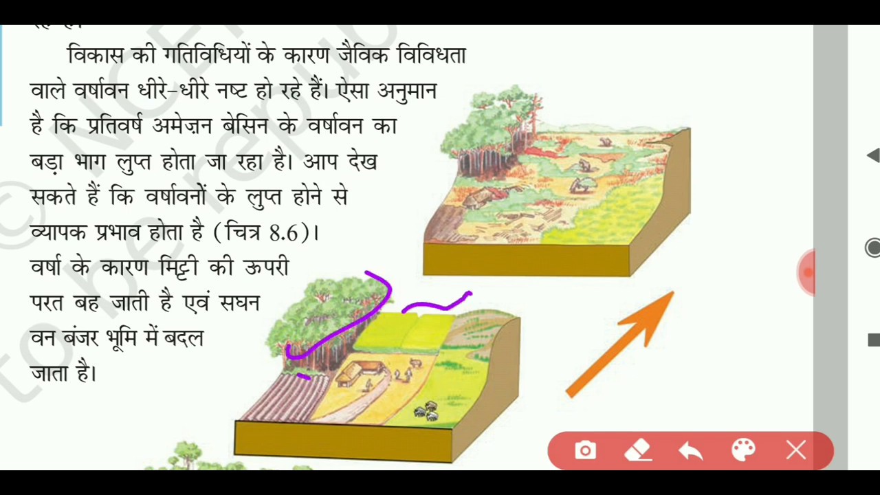 NCERT Geography Class-VII ch-8 IAS PCS UGC NET and other Exams - YouTube