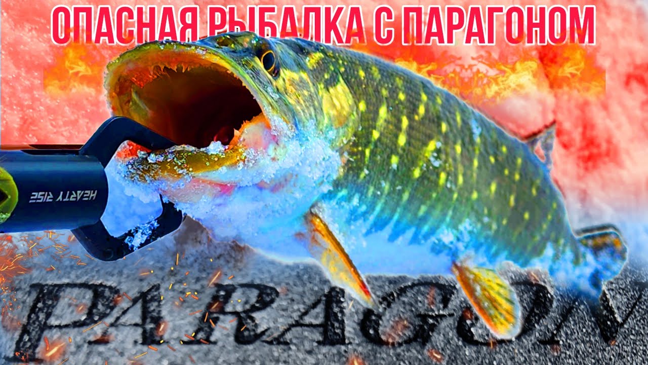 ЛЮТАЯ ВЕСЕННЯЯ ЩУКА! Первый обзор спиннинга Hearty Rise Paragon 802L ...