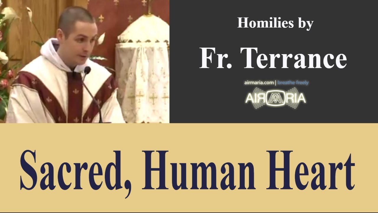 Sacred, Human Heart - Jun 08 - Homily - Fr Terrance - YouTube