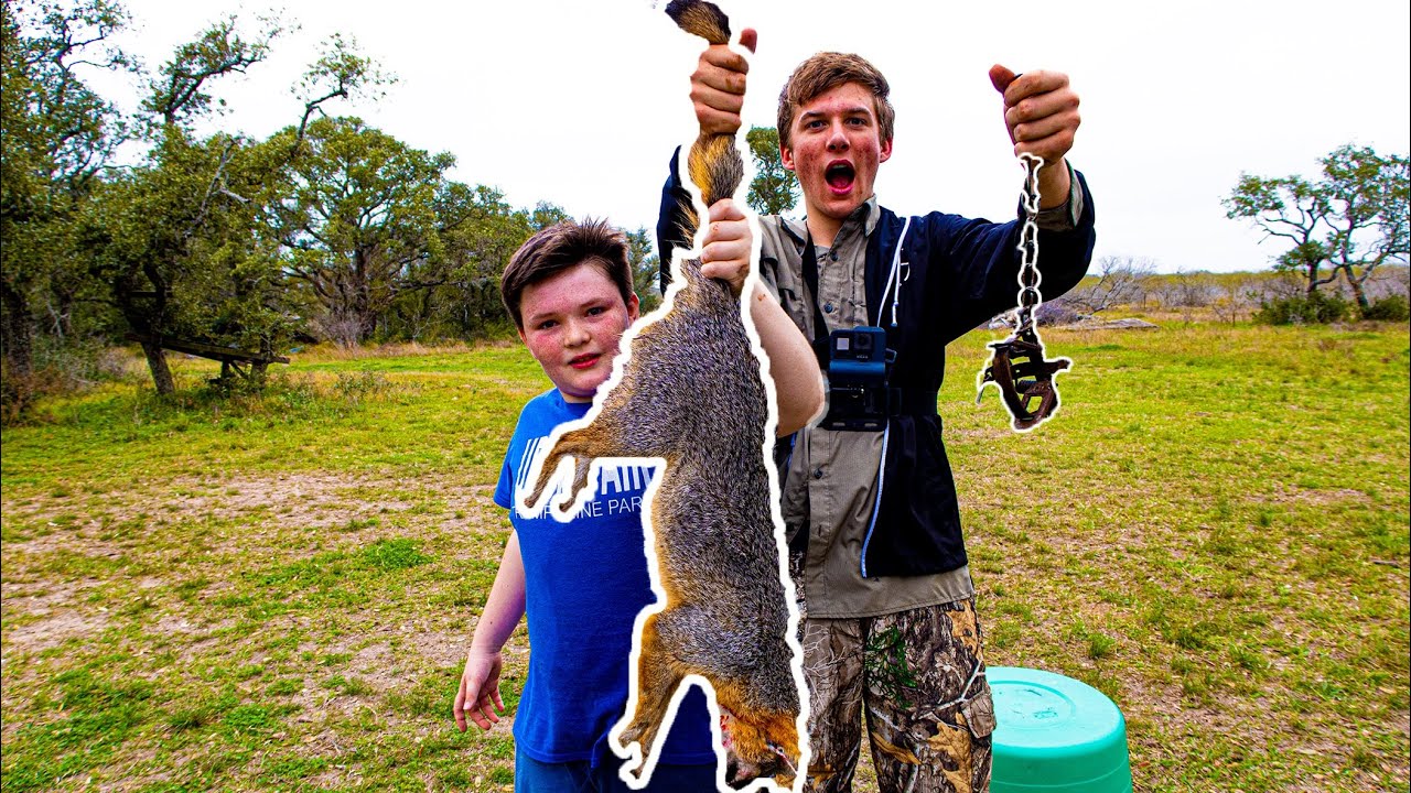 TRAPPING A Grey FOX in a FOOTHOLD trap! Catch Clean Cook. - YouTube