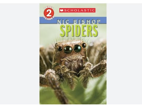Spiders by Nic Biship for Scholastic INC is a nonfiction read aloud for ...