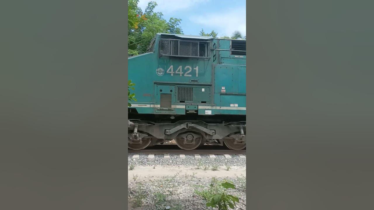 tren ferrosur rana verde - YouTube