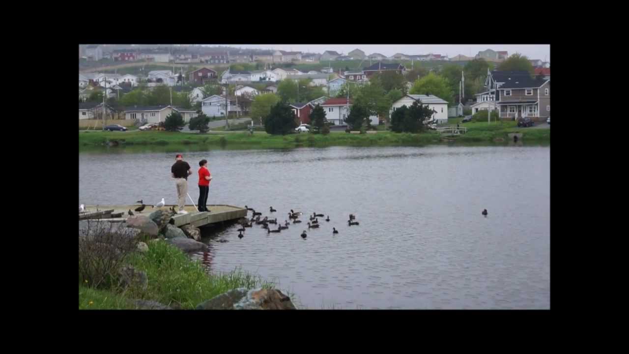 Mundy Pond - YouTube
