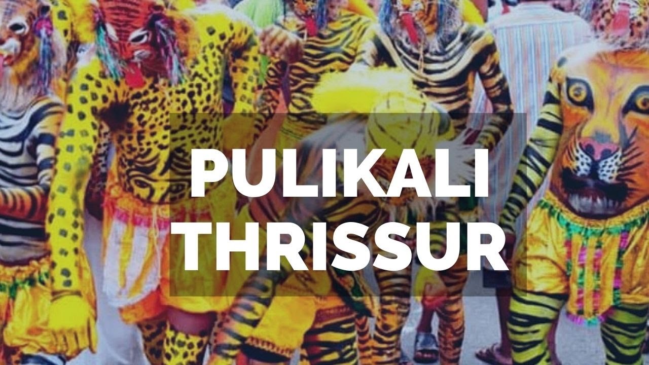 Pulikali - the tiger dance | Kerala Festivals - YouTube