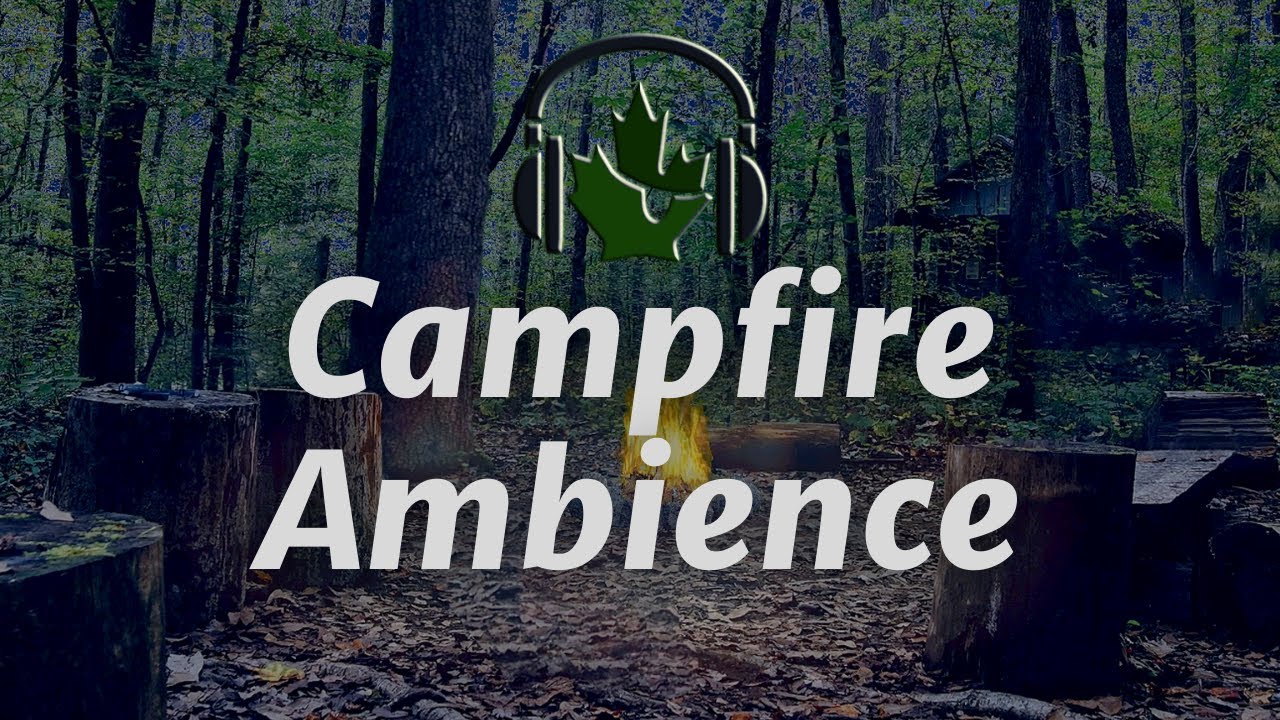 Nighttime Ambience, Crickets, Owls & Campfire - Forest sounds at Night ...