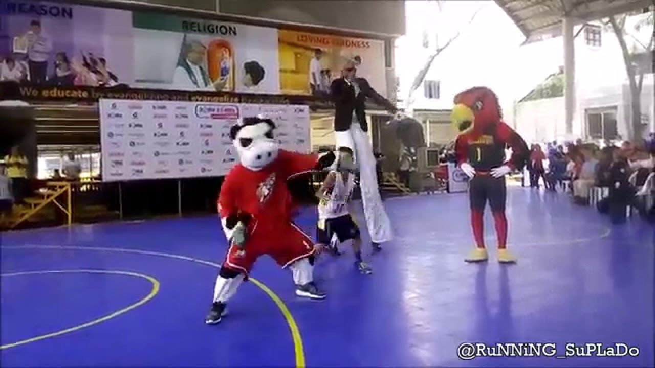 E-Cow and Harry the Hawk Dance Showdown - YouTube