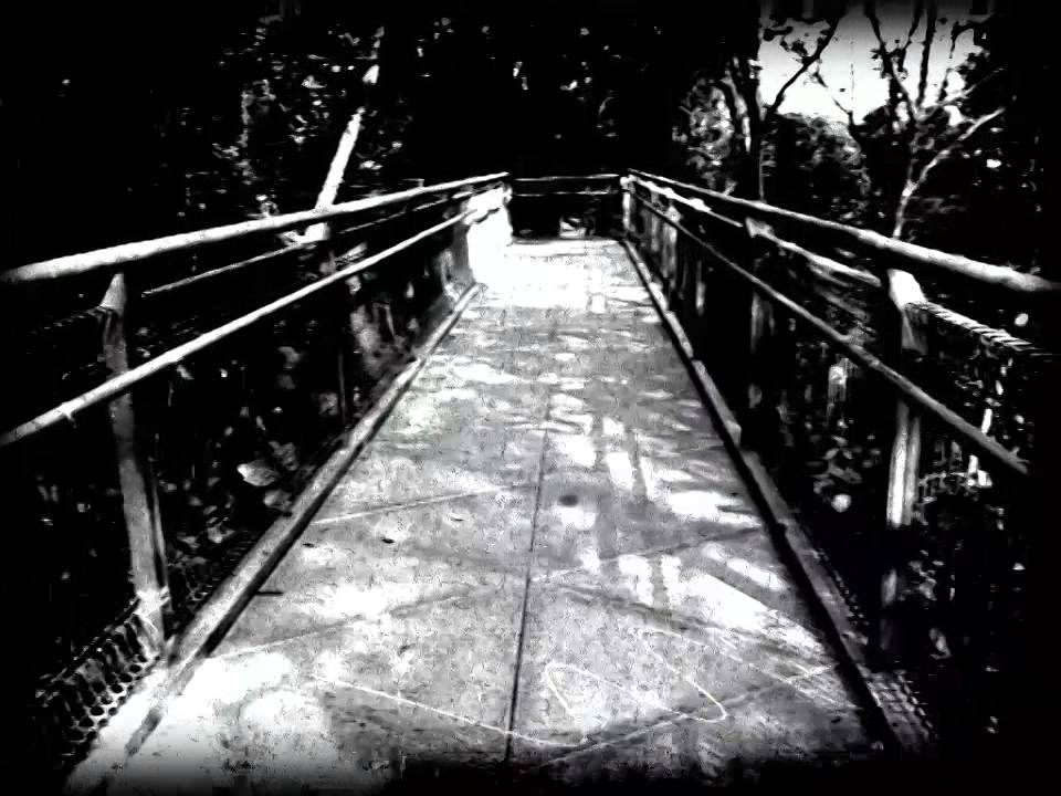Haunted Forest Walk - YouTube