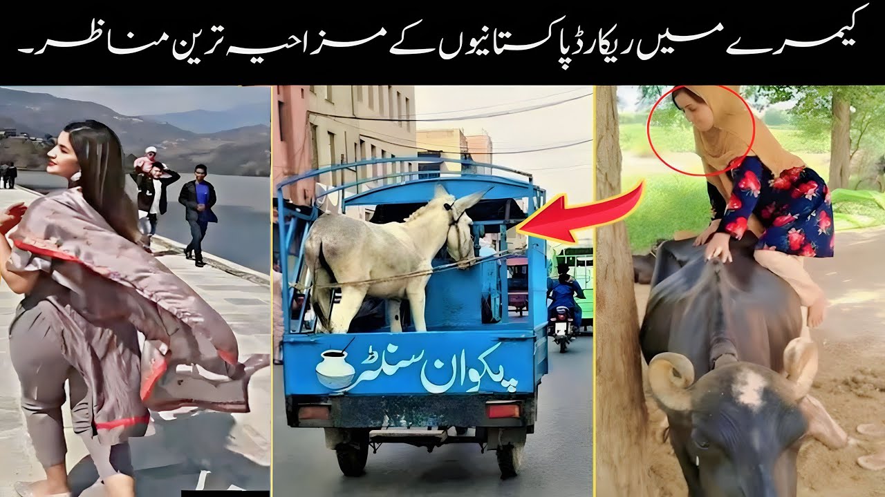 25 Funny Pakistani People's Moments 😂😝Part - 06 | Funny Pakistani ...