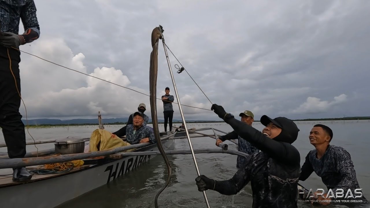 EP696-P3 - Malabanos Catch and Cook | Occ. Mindoro - YouTube