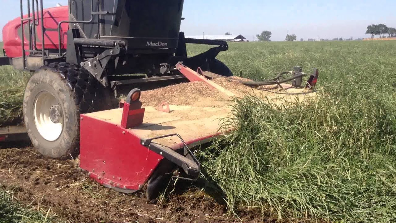 MacDon M205/R85 merging with DWA - YouTube