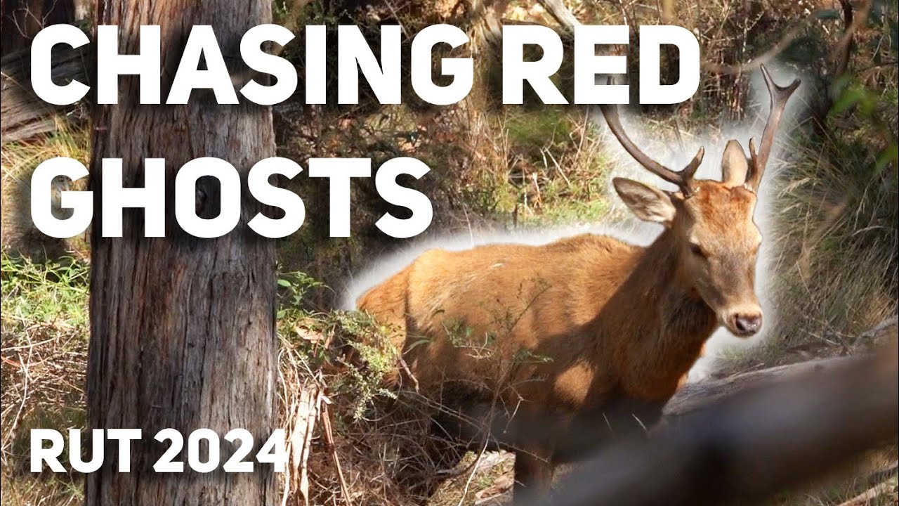 Chasing Red Ghosts - YouTube