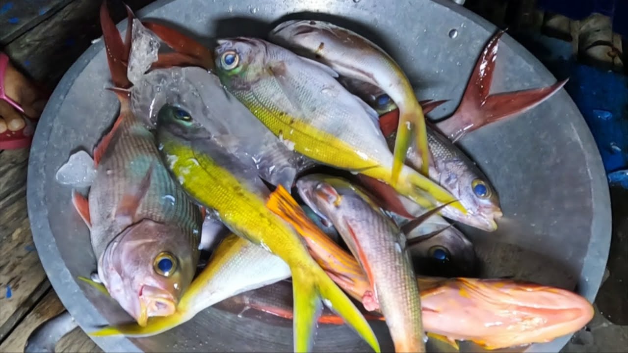 Nang-akit ng Isda! | Nakarami Part 2 - YouTube