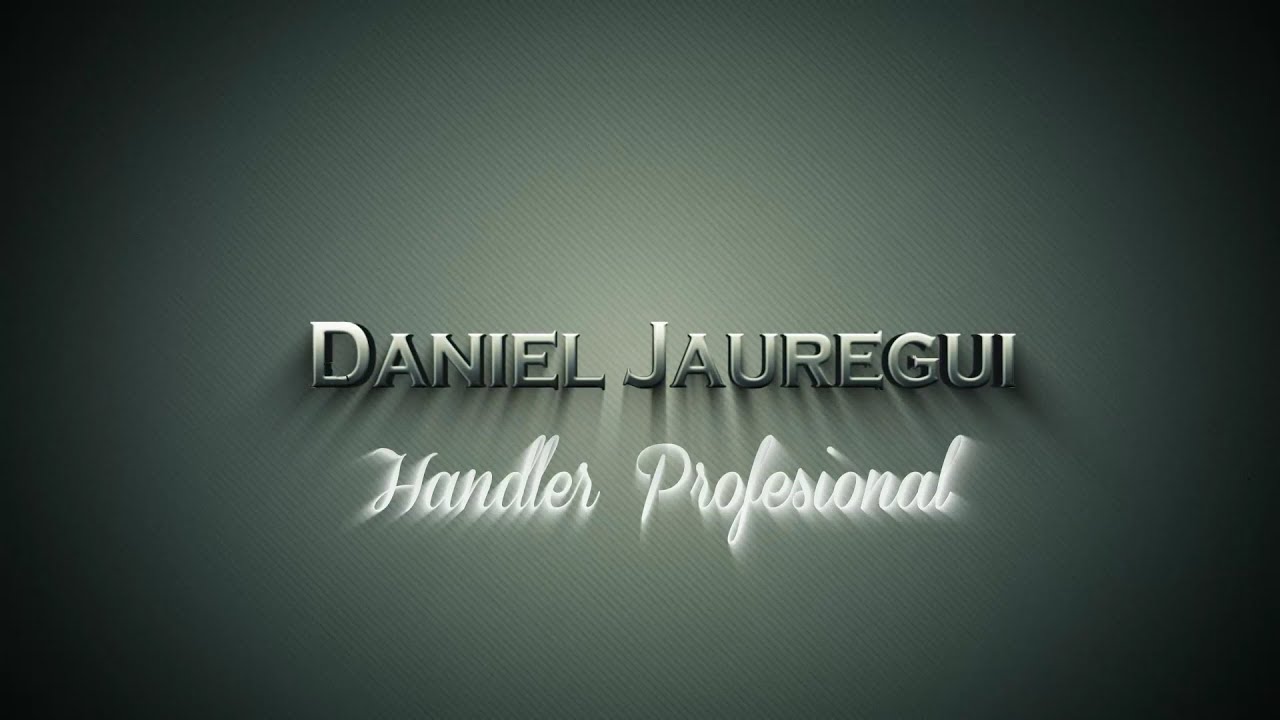 Daniel Jauregui - Cirius del Placer (expo Club Canino Gran Norte) - YouTube