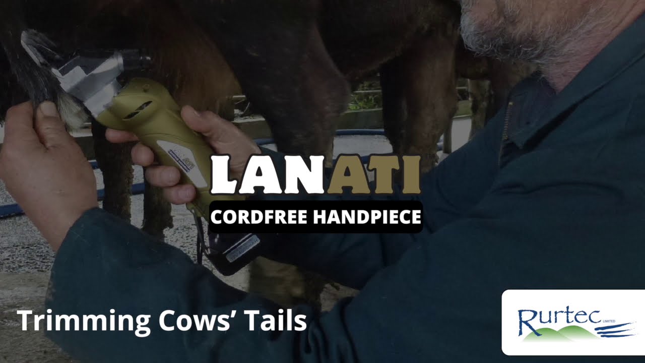 LANATI Cordfree Handpiece for Trimming Cows' Tails - YouTube