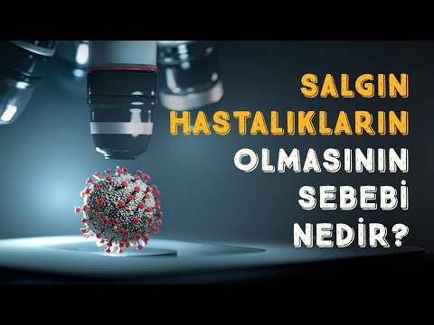Salgın hastalıkların olmasının sebebi nedir?
