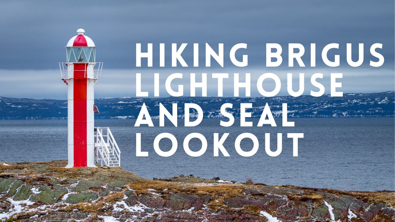 Discovering Newfoundland - Hiking the Brigus Lighthouse and Seal ...