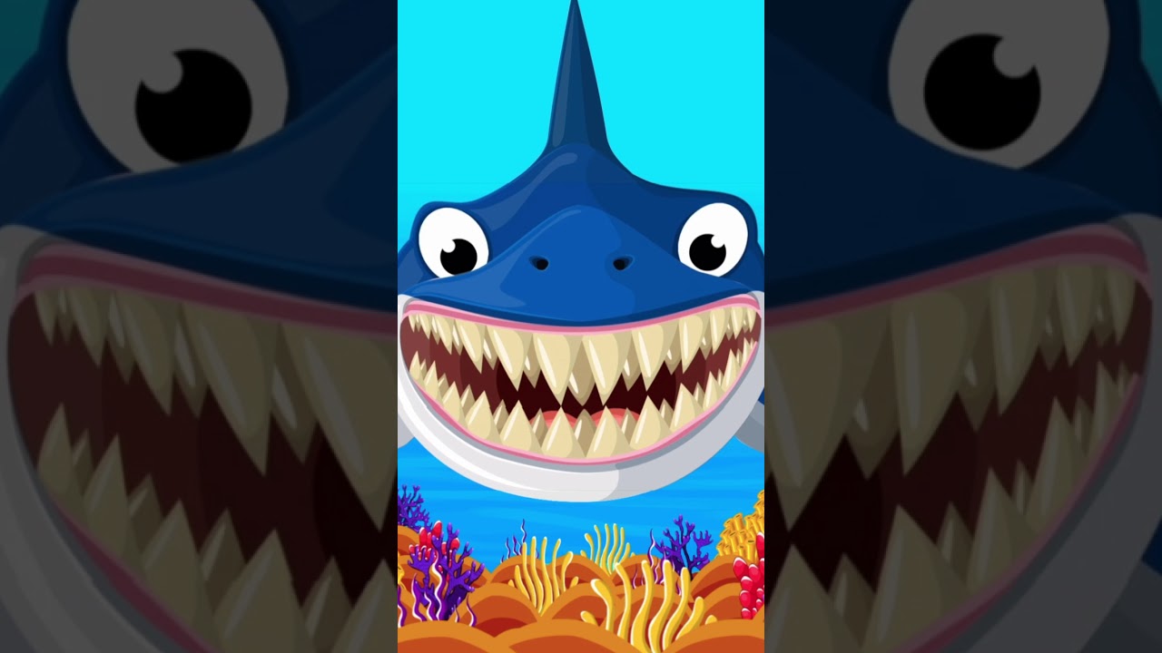 Kiddopia | Learning App for Kids | Fish Doc. (Pt) - YouTube