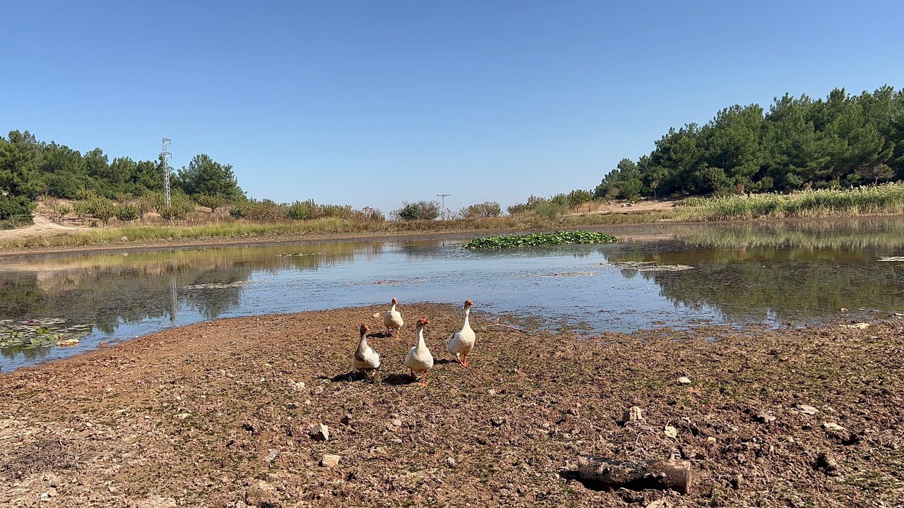 MEŞHUR MANİSA SÜLÜKLÜ GÖL #sipil #doğa #dağcılık #nilufer #manisa # ...