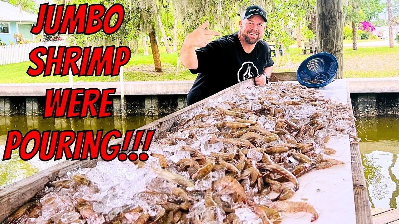 INSANE NIGHT TIME SHRIMP RUN- Oak Hill Florida Dipping Shrimp Non-Stop! - YouTube