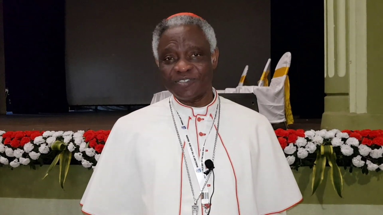 XXVII GMM. Il Card. TURKSON sulla Teologia di Papa Francesco sulla cura ...
