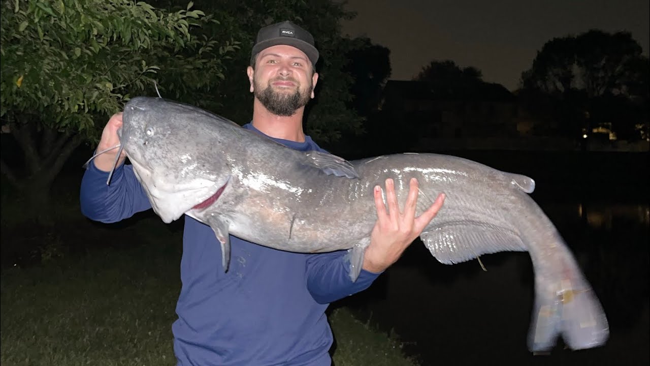 CATCHING 30+ LB CATFISH IN NEIGHBORHOOD POND!!!! - YouTube