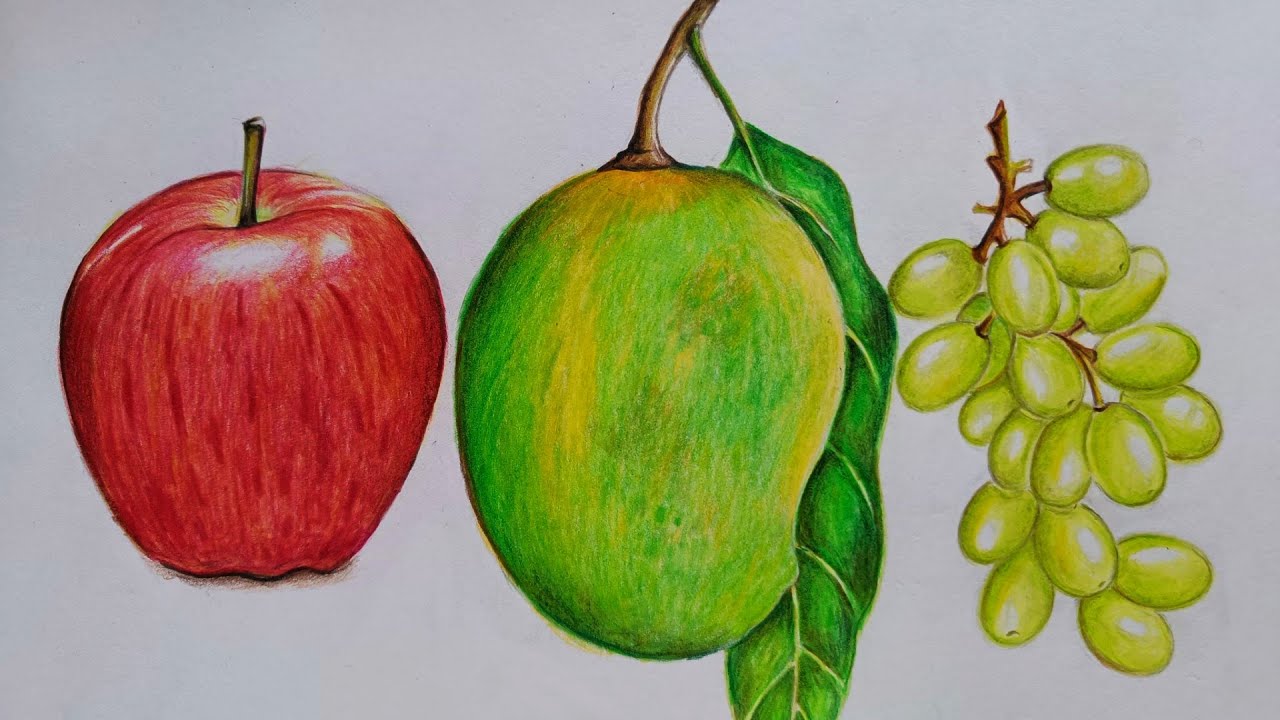 Realistic Fruits Drawing for Beginners || Using Colour Pencils || Apple ...