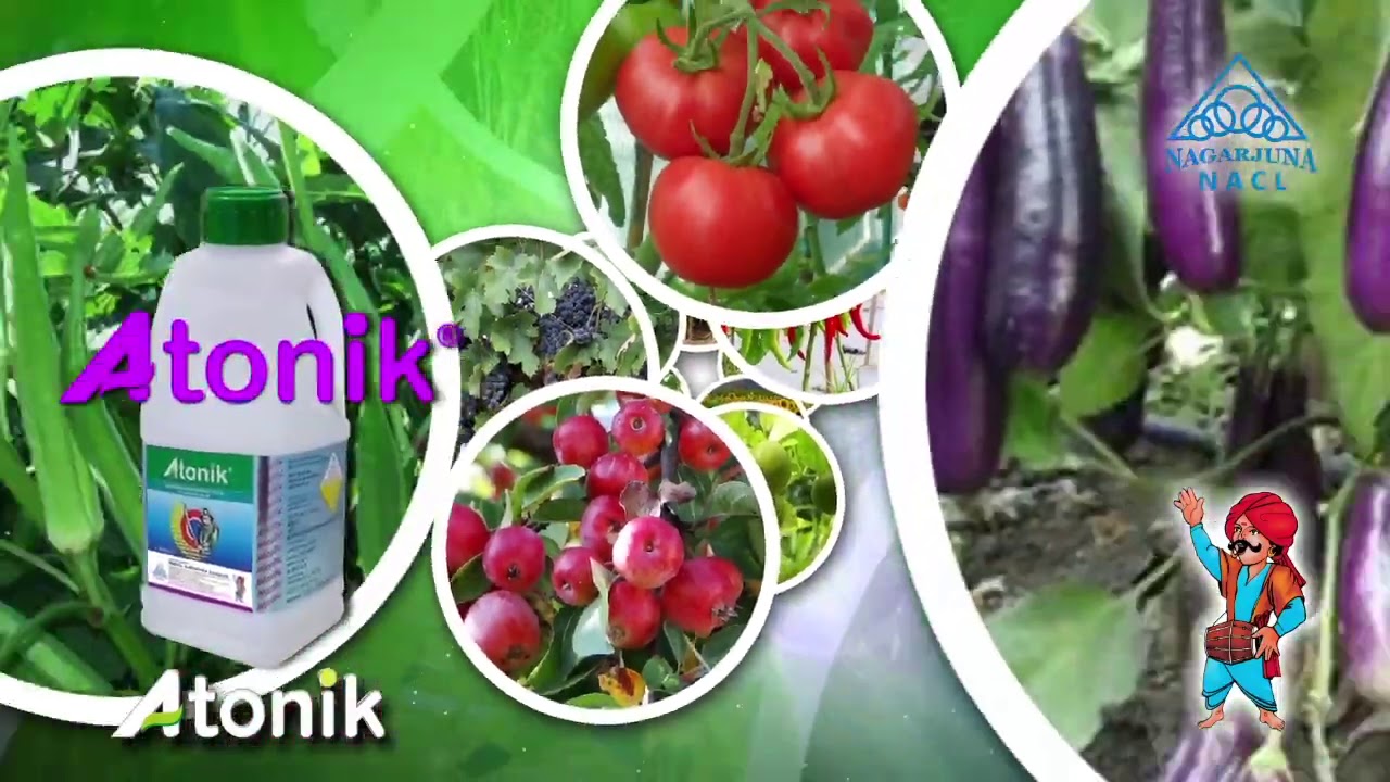 Enhance Crop Growth and Yield with Atonik® Plant Growth Regulator - YouTube