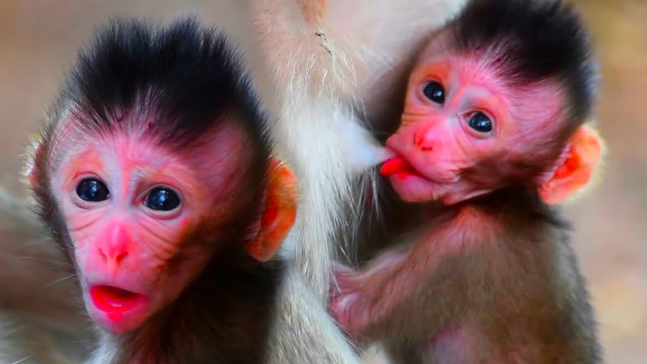 Ello baby very active moment mouth breastfeeding milk - YouTube