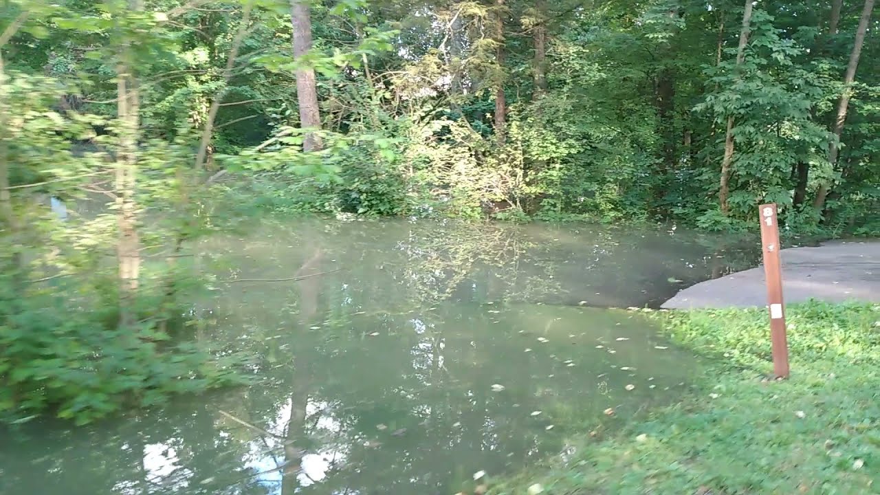 Cowanesque Lake 2021 flood - YouTube