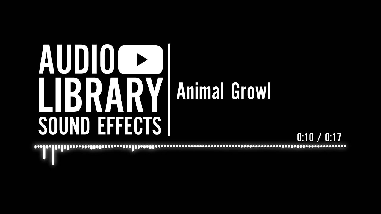 Animal Growl - Sound Effect - YouTube