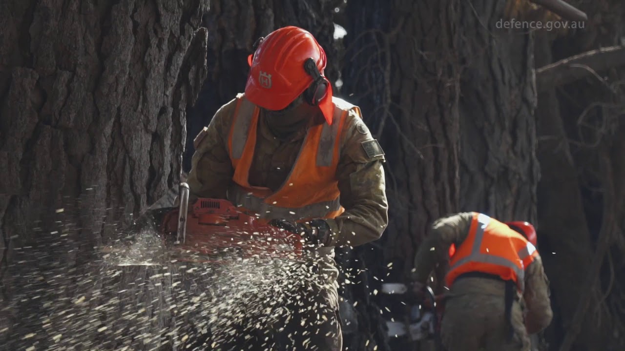 Army fells fire-damaged pine trees - YouTube
