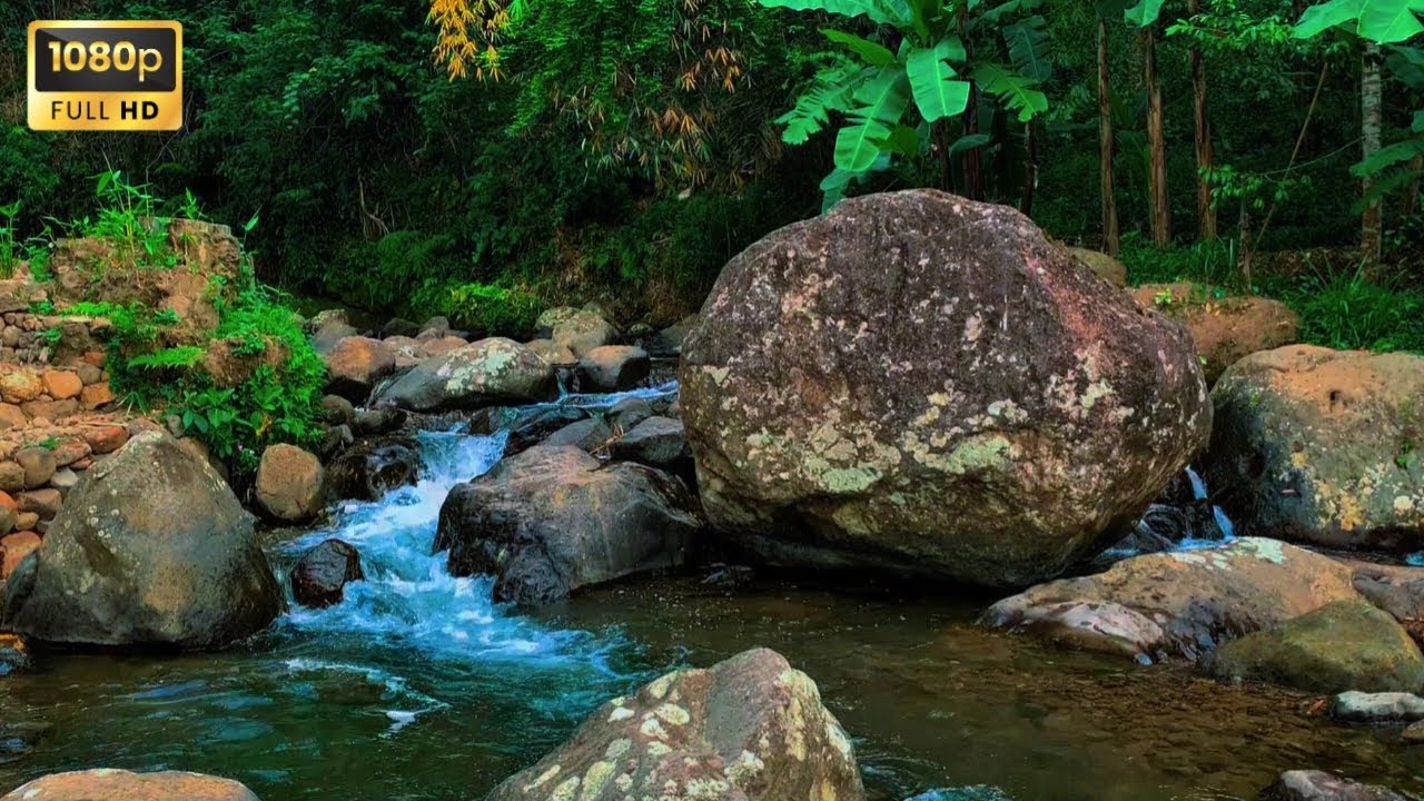 Relaxing Nature Sound Mountain River Flowing Soft gurgling water ...