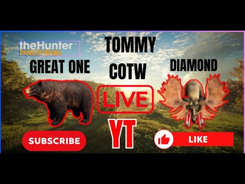 cotw for diamonds - YouTube