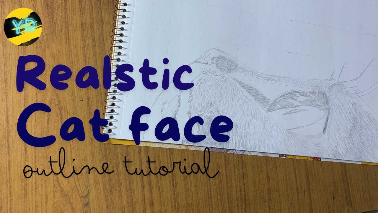 Realistic cat face drawing outline tutorial | how to draw cat outline ...