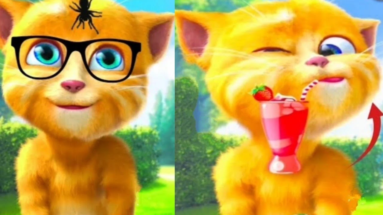 Talking Ginger 2 🐒 Funny Cat ll talking ginger 2 ll ginger 2 ll talking ...