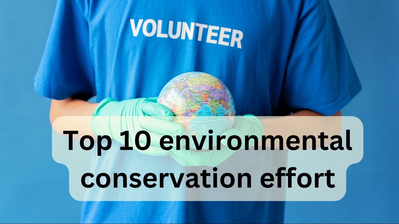Top 10 Environmental Conservation Efforts Transforming Our Planet - YouTube