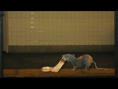 NYC Subway Rat - YouTube