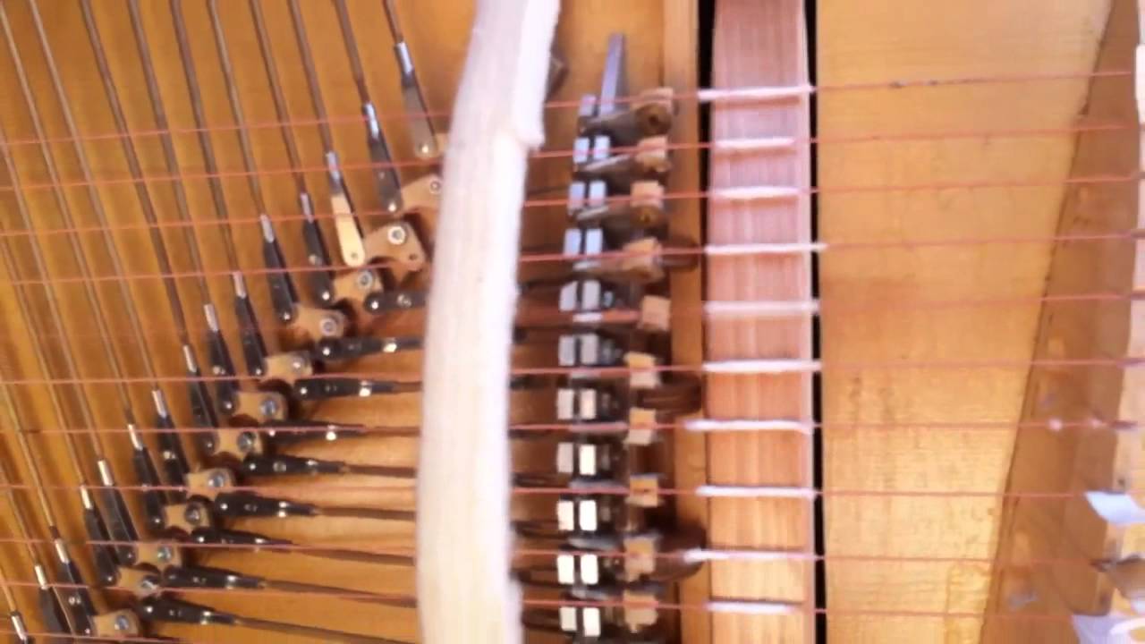 Organistrum & Octaved Violin - YouTube