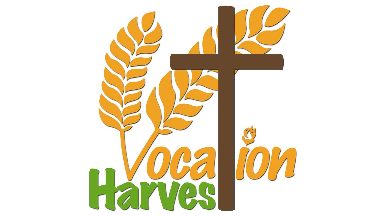 Vocation Harvest: Father Brian Mullady, OP - YouTube