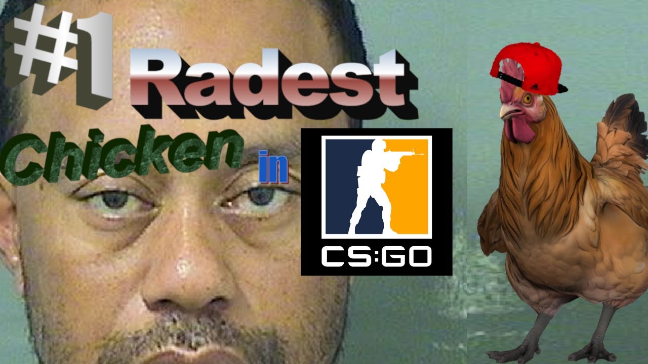 Most Rad Chicken in Counter-Strike - YouTube