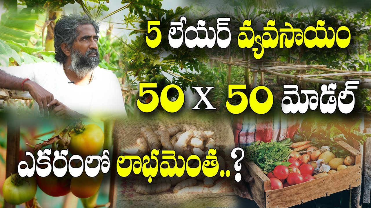 చిన్న, సన్నకారు రైతులకి సూపర్ సాగు మోడల్ | 5 Layer Farming | Vijayaram ...