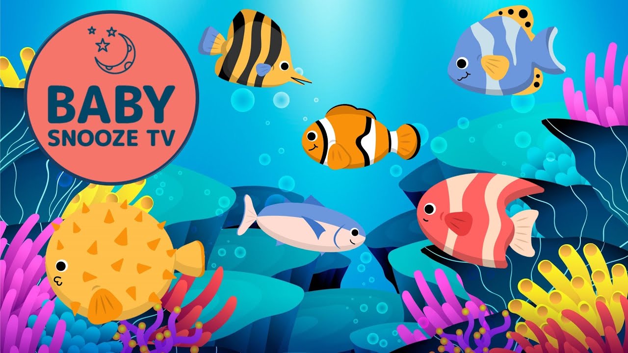 Fish Lullabies for Deep Sleep | Relaxing Lullaby | Baby Snooze TV - YouTube