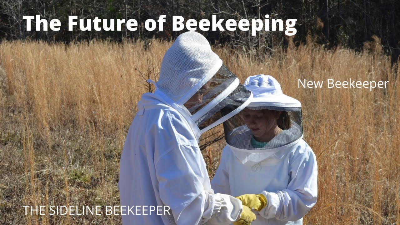 Beekeeping: The Future of Beekeeping | New Beekeeper - YouTube