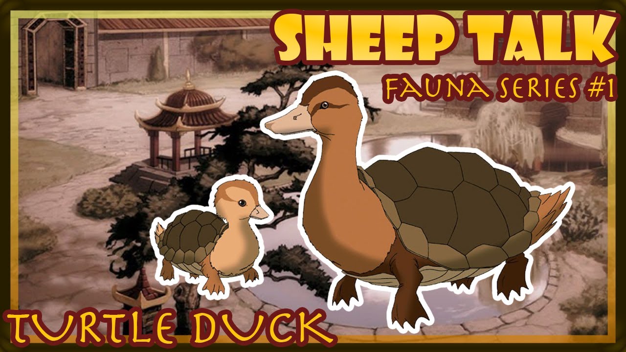 Sheep Talk ตอน Fauna in ATLA : Turtle Duck - เป็ดเต่า #1 - YouTube