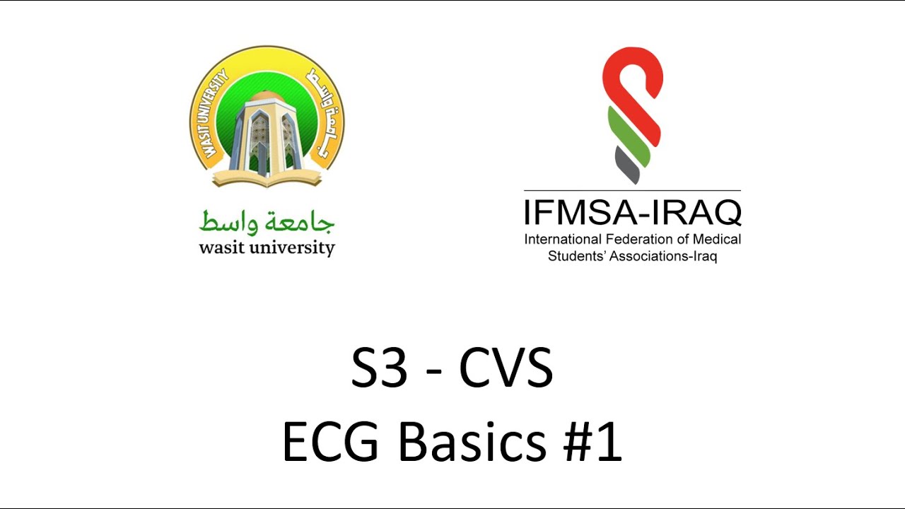 S3 - CVS - ECG Basics #1 - YouTube