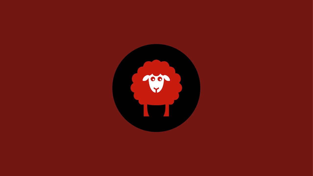 Live rounds with Lizzy! - YouTube