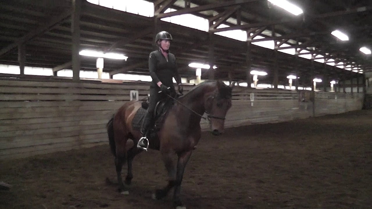 Jennifer on Calypso Intro Test C May 2020 - YouTube