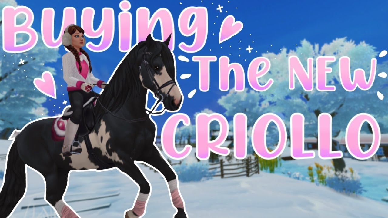 BUYING THE NEW CRIOLLO! | Star Stable Online - YouTube