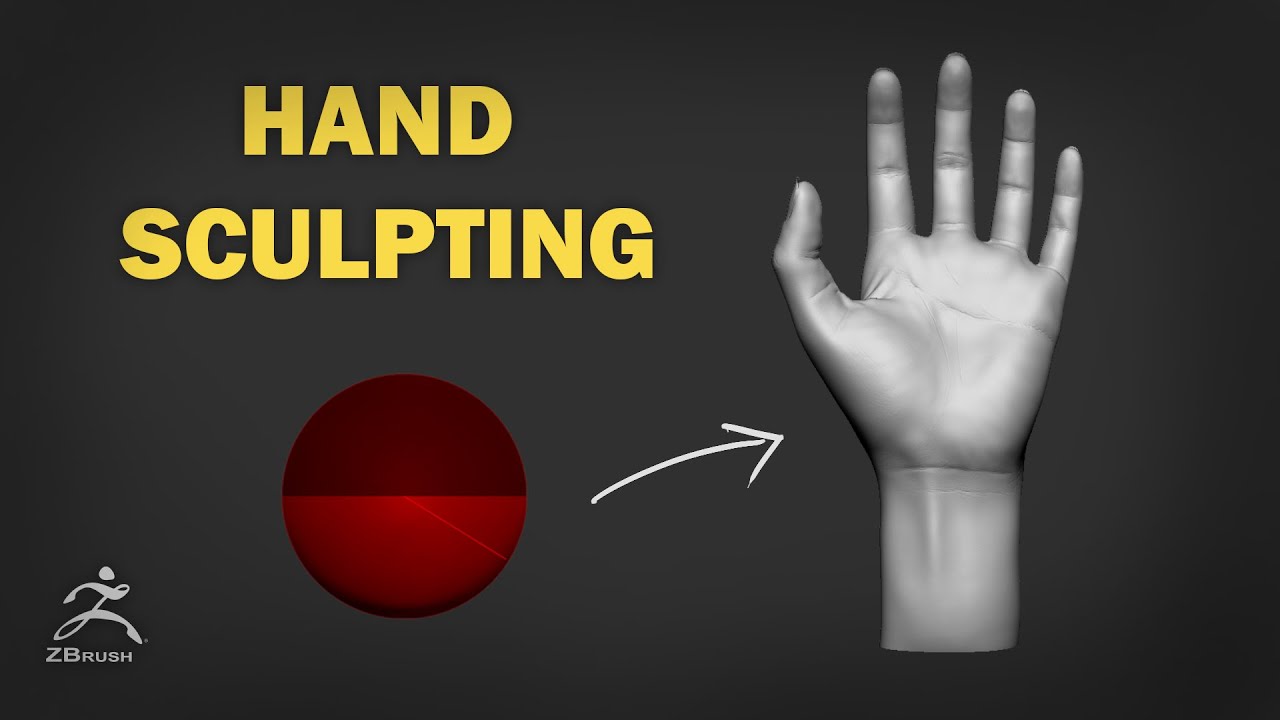 Realistic Hand - Speed sculpting in ZBrush (first time sculpting a hand ...
